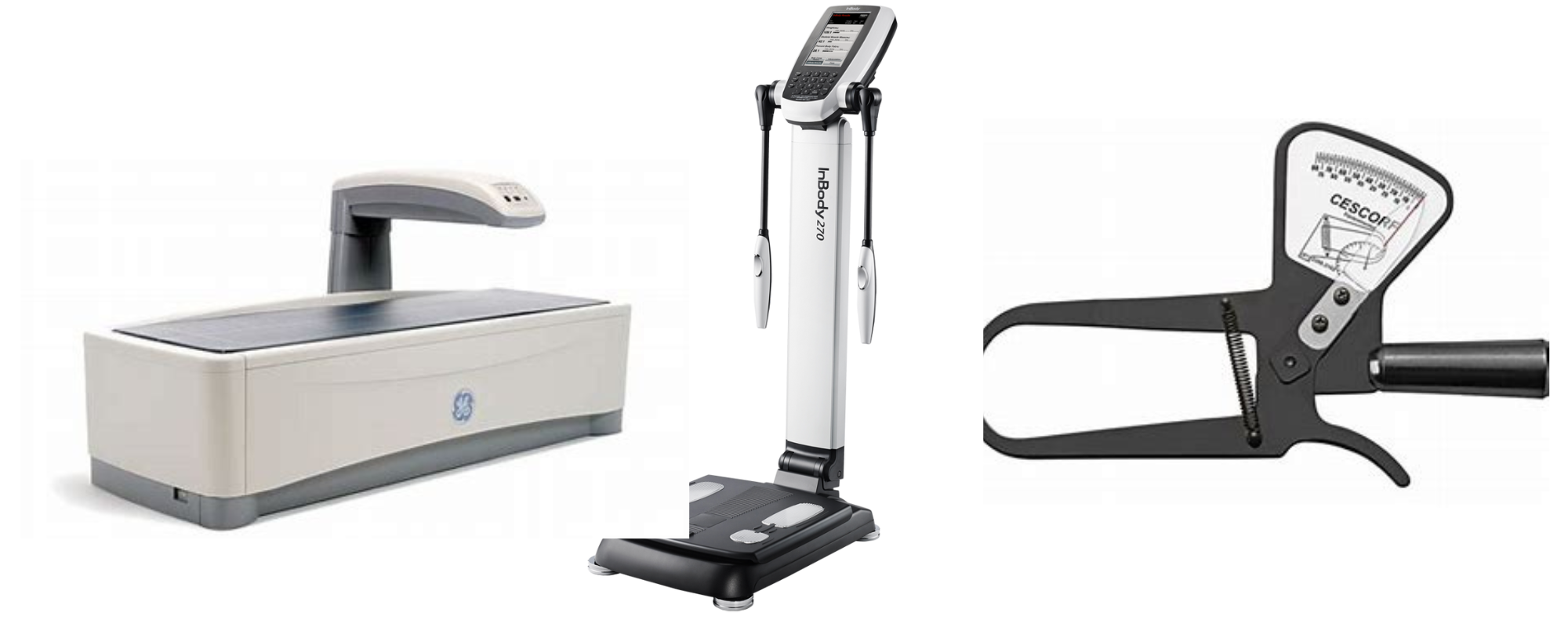 Body Composition and Nutrition Knowledge - daveynutrition