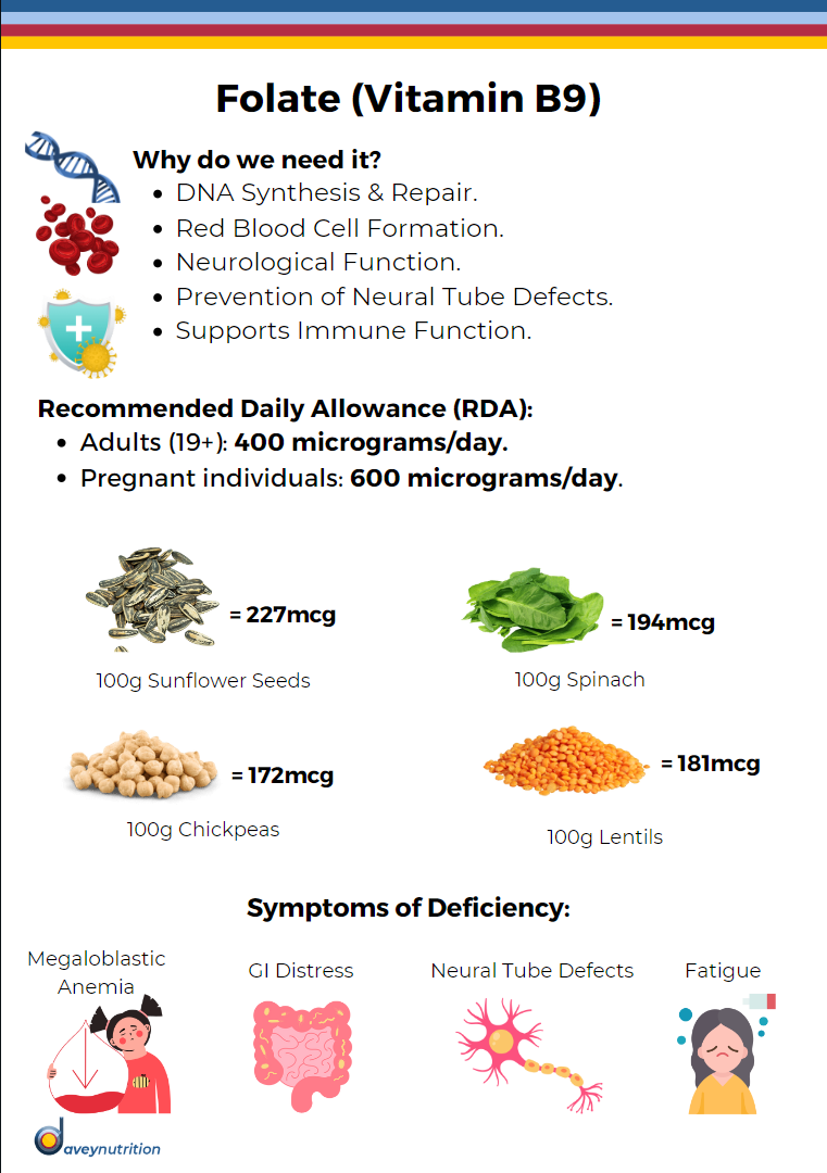 Micronutrients - Folate (Vitamin B9) - daveynutrition