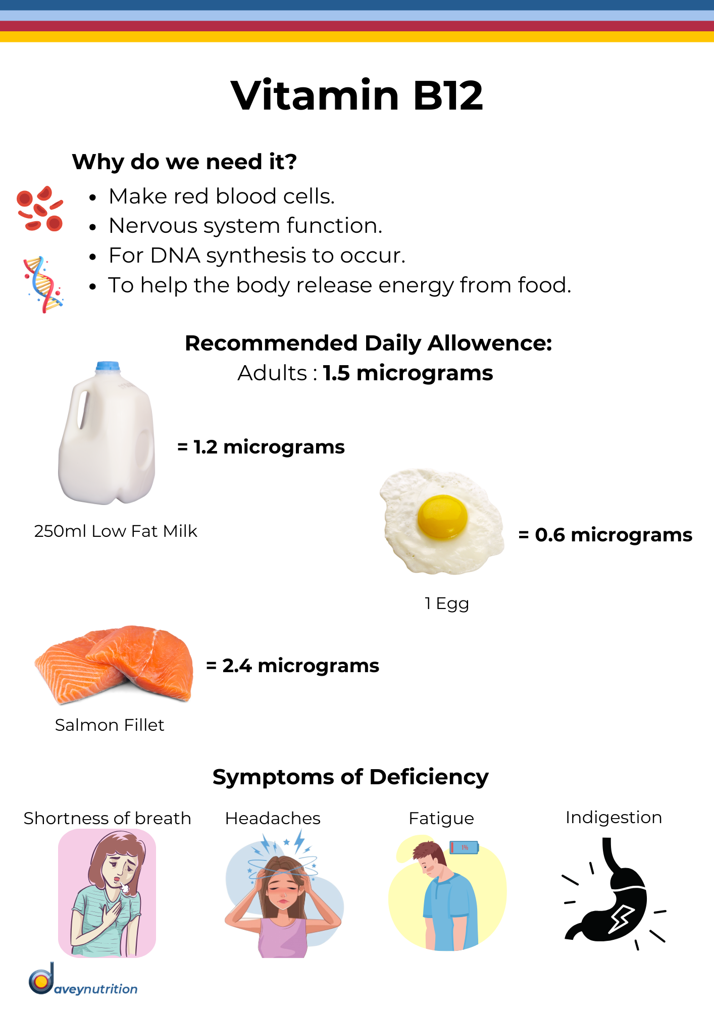 Micronutrients - Vitamin B12 - daveynutrition
