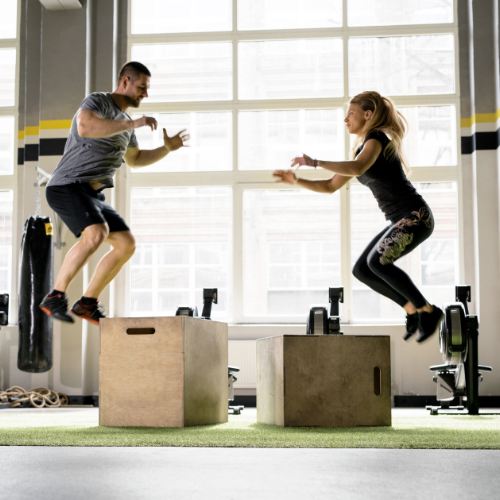 Performance Program - daveynutrition