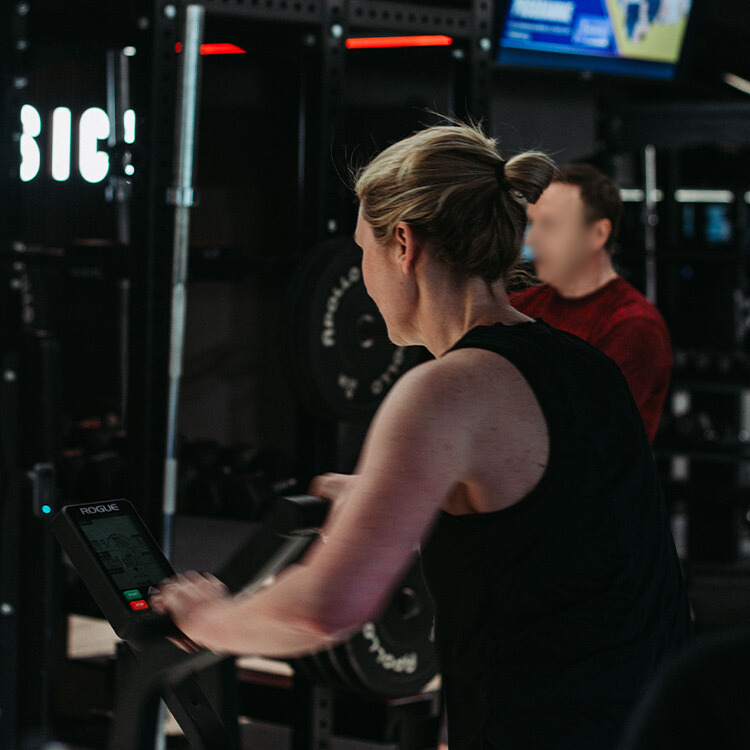 Performance Program - daveynutrition