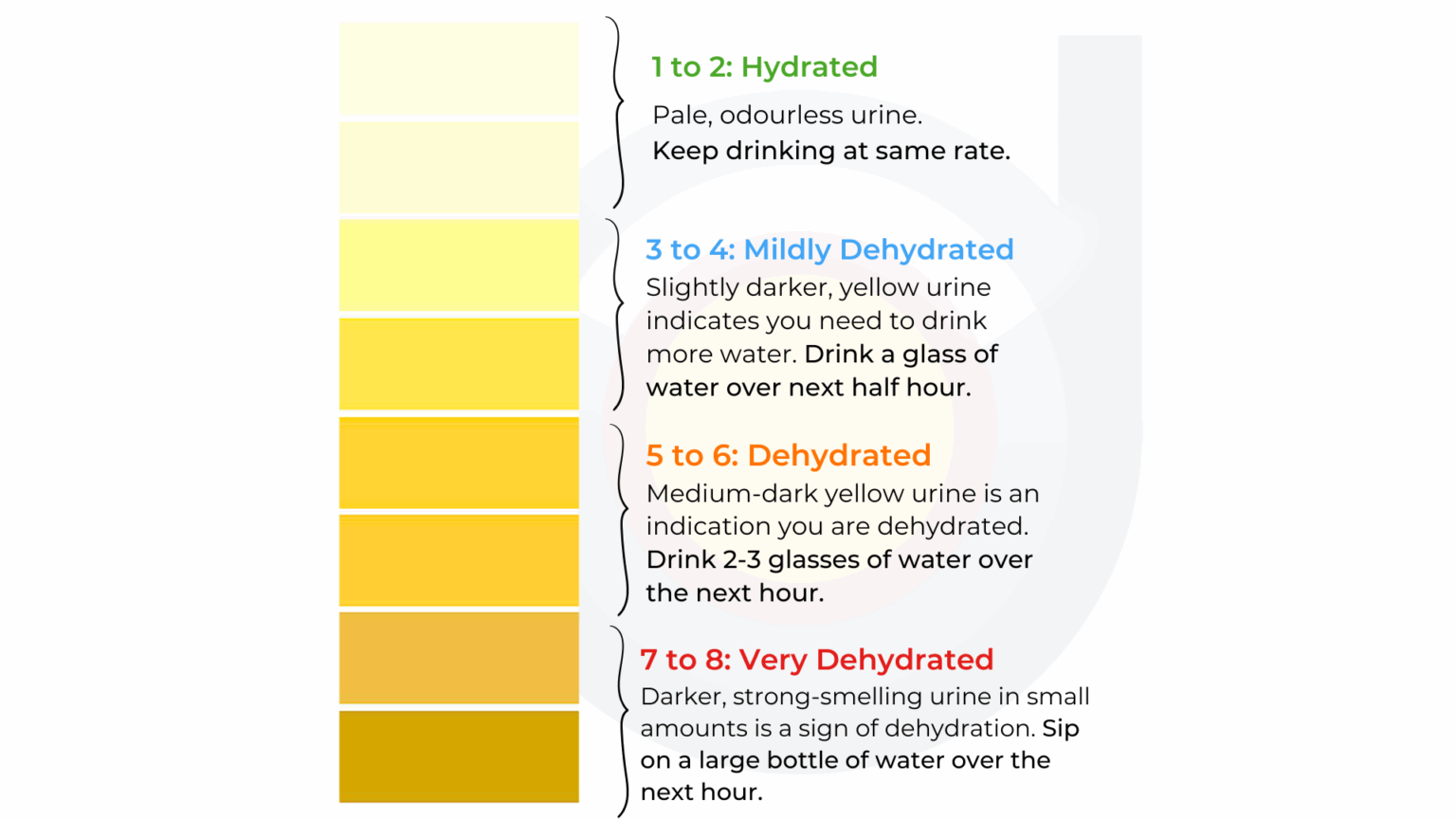 Fueling For Your Marathon Part 2 - How To Fuel & Hydrate During Long ...